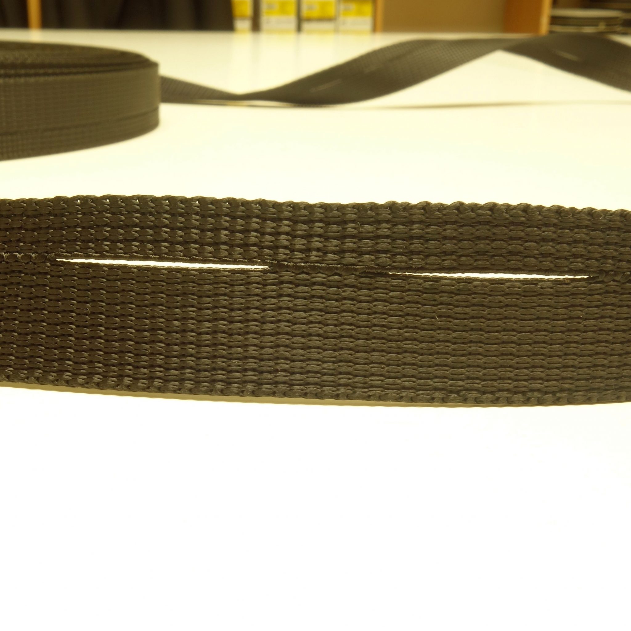 Webbing Archives - Adventurexpert